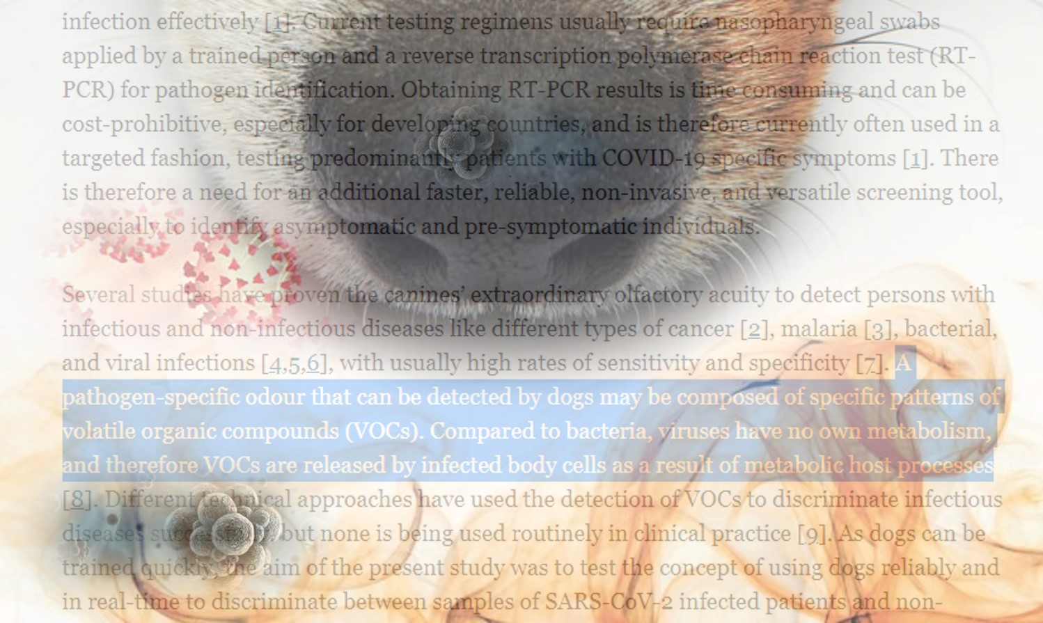 Walex / Post / complex dynamic system