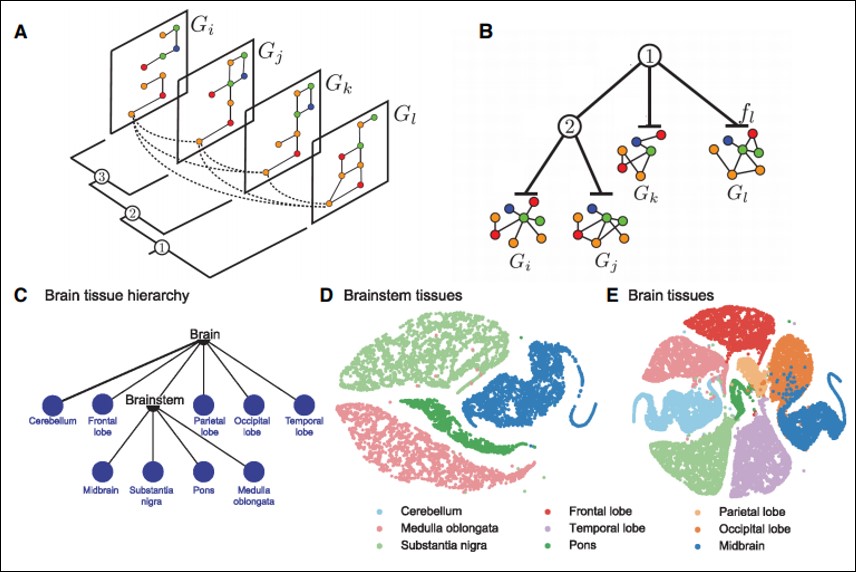 Walex / Post / 矩陣代數