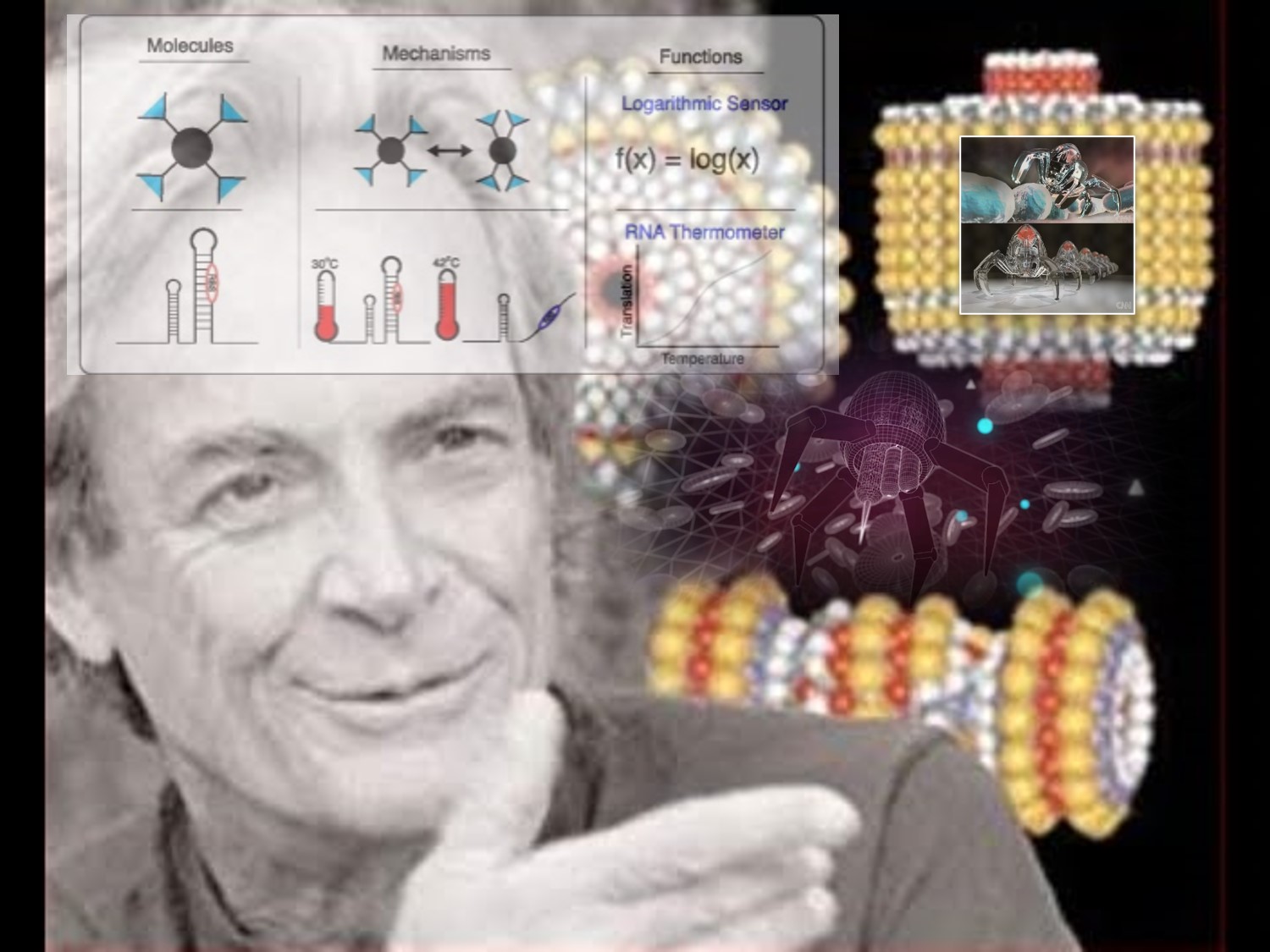 Walex / Post / Quantum Computing