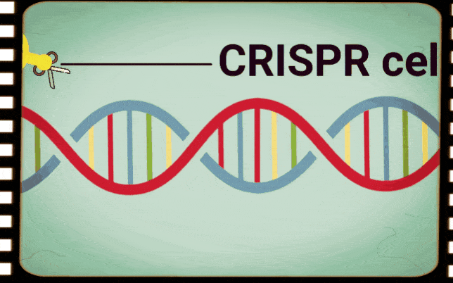 Walex / Post / complex dynamic system