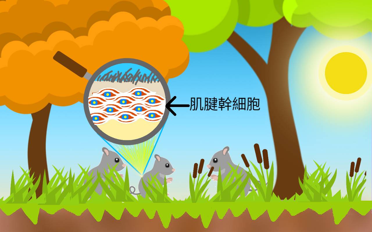 Walex / Post / Shannon’s information theory -Game theory-Entropy