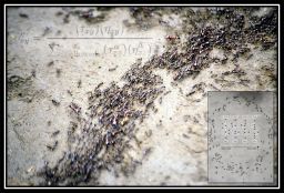 Walex / Post / 20241024 MMX-AIXQC-TSP Applications